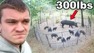 Kendall Gray Net Worth 2025 – Ultimate Financial Breakdown of the ...